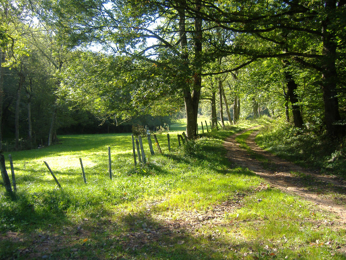 LES CHEMINS DE TRAVERSE DE CHERIER